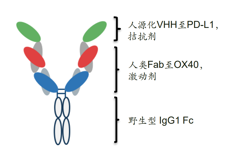 KN052-药品详情-NextPharma®数据库-ByDrug-医药魔方数据库