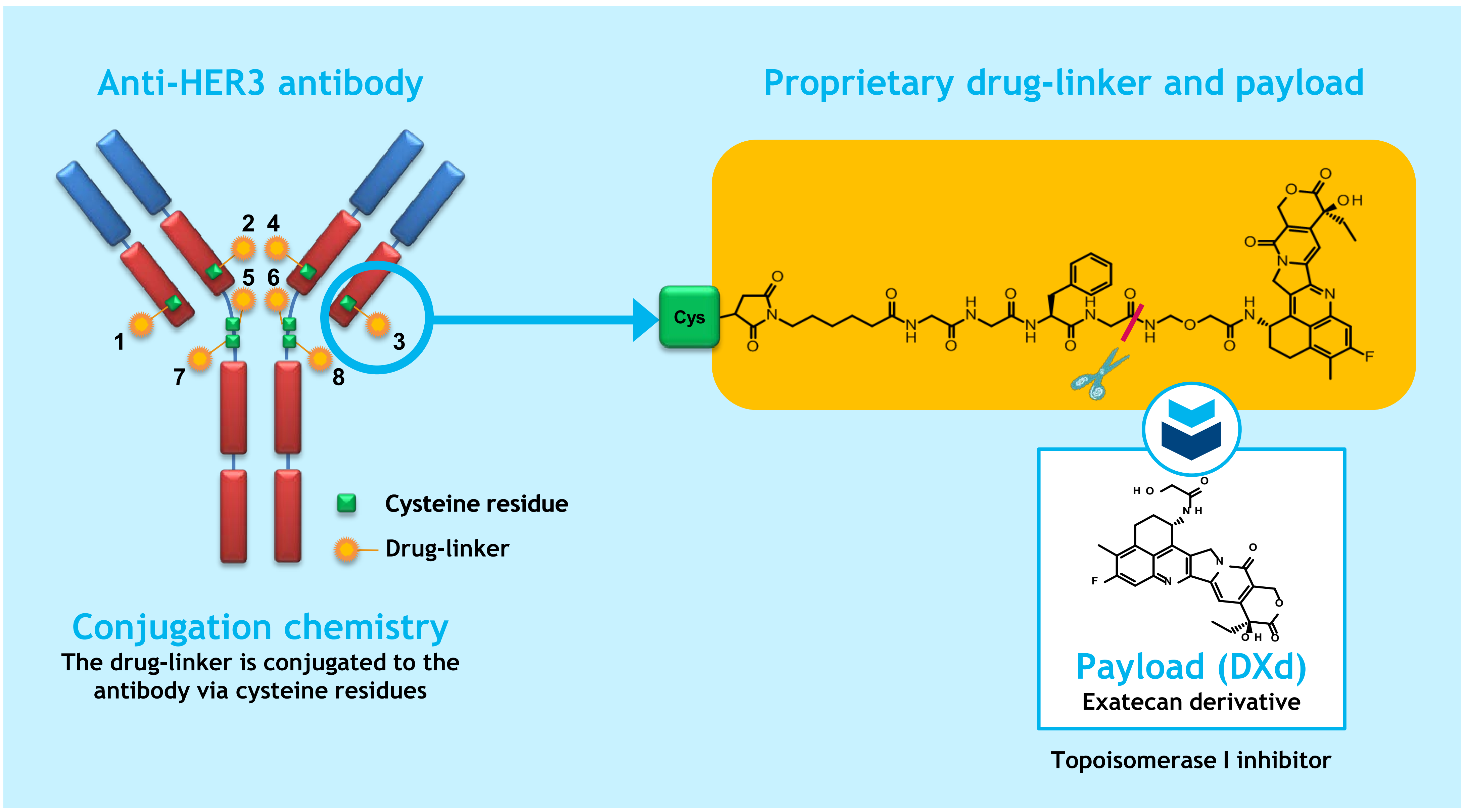 patritumab deruxtecan-药品详情-NextPharma®数据库-ByDrug-医药魔方数据库