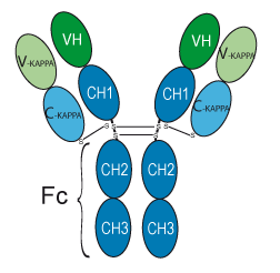 afimkibart-药品详情-NextPharma®数据库-ByDrug-医药魔方数据库