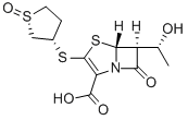 sulopenem-drug information-NextBiopharm™-ByDrug-Pharmcube Database