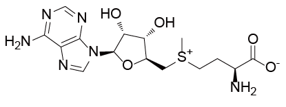 腺苷蛋氨酸ademetionine-药品详情-NextPharma®数据库-ByDrug-医药魔方数据库