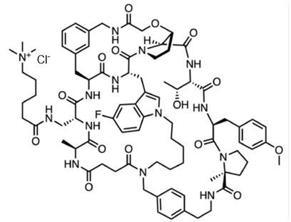 enlicitide-药品详情-NextPharma®数据库-ByDrug-医药魔方数据库