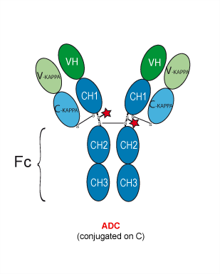 rovalpituzumab tesirine-药品详情-NextPharma®数据库-ByDrug-医药魔方数据库