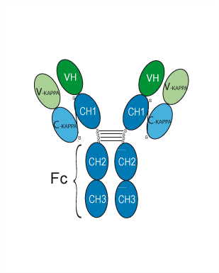 布罗利尤单抗brodalumab-药品详情-NextPharma®数据库-ByDrug-医药魔方数据库
