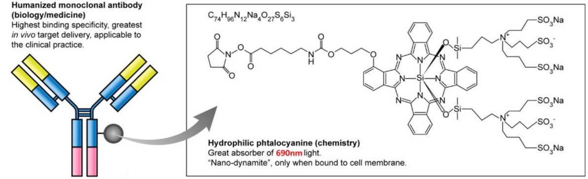 cetuximab saratolacan-药品详情-NextPharma®数据库-ByDrug-医药魔方数据库