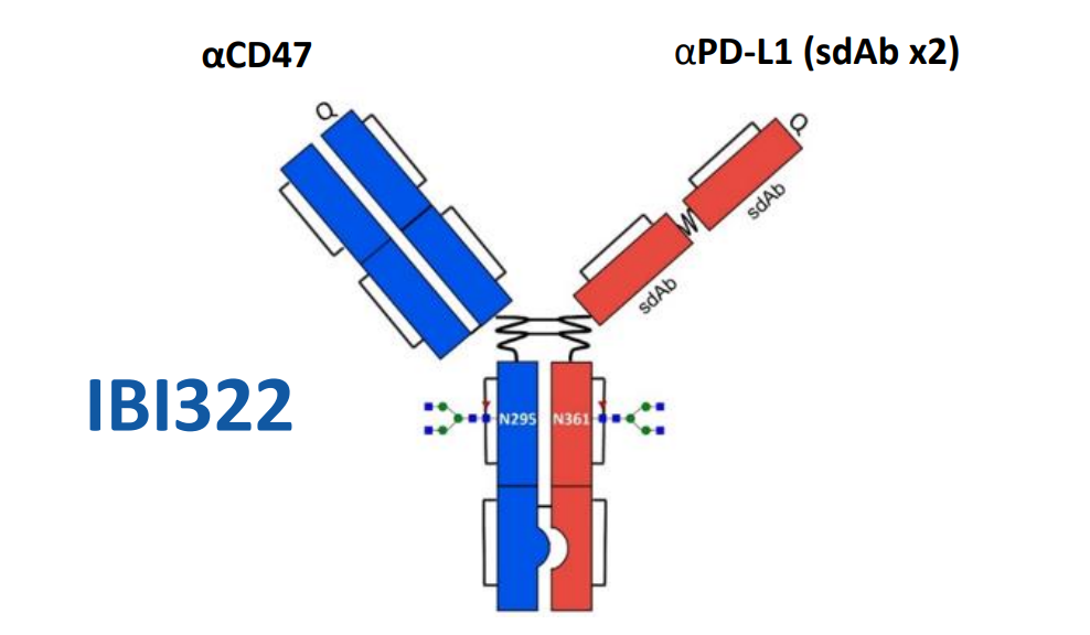 IBI322-药品详情-NextPharma®数据库-ByDrug-医药魔方数据库