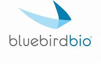 bluebird bio-bluebird bio, Inc.-企业详情-InvestGO数据库-ByDrug-医药魔方数据库