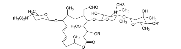 可利霉素carrimycin-药品详情-NextPharma®数据库-ByDrug-医药魔方数据库