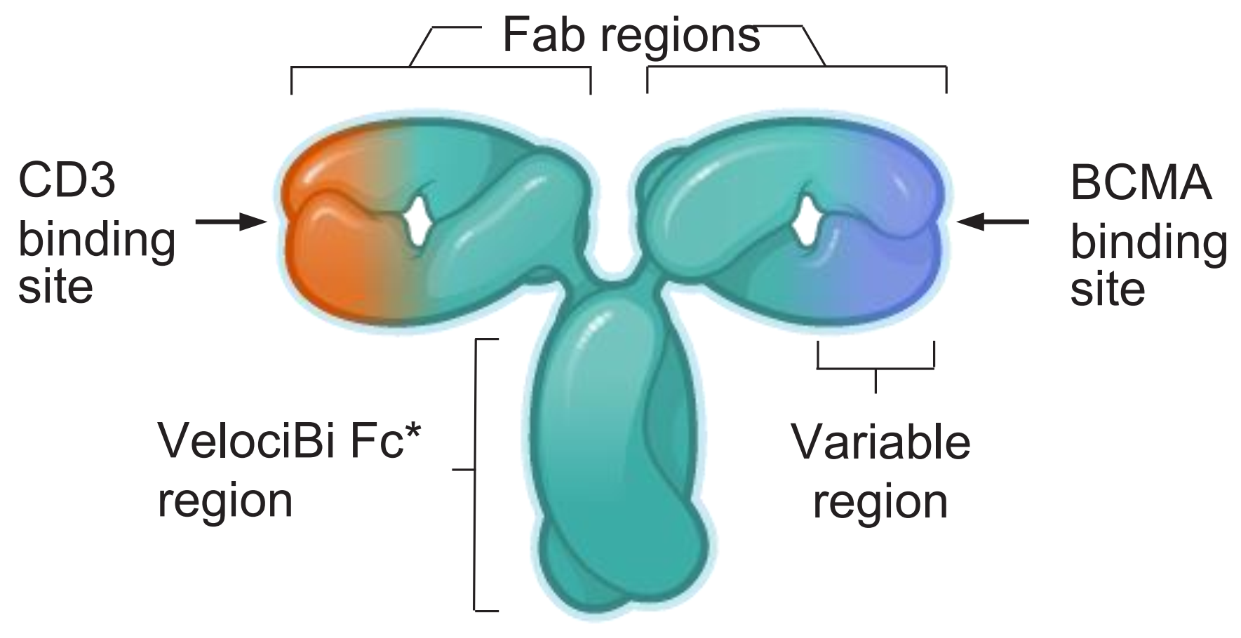 linvoseltamab-药品详情-NextPharma®数据库-ByDrug-医药魔方数据库
