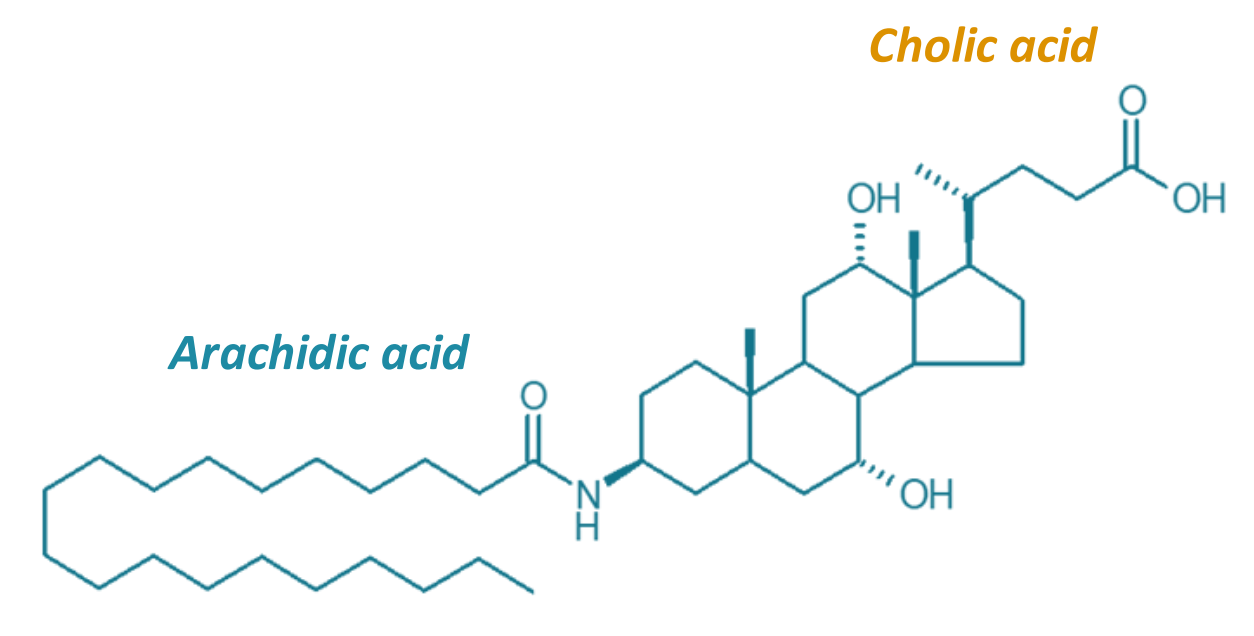 Aramchol-药品详情-NextPharma®数据库-ByDrug-医药魔方数据库