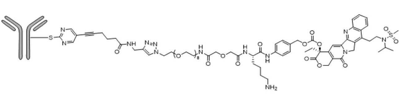 芦康沙妥珠单抗sacituzumab tirumotecan-药品详情-NextPharma®数据库-ByDrug-医药魔方数据库