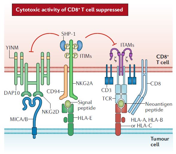 医药魔方-数十万医药人来这里查数据、找品种、找企业、抓机会