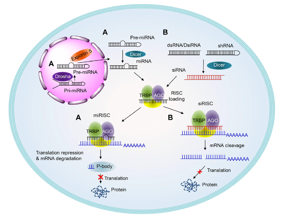 医药魔方-数十万医药人来这里查数据、找品种、找企业、抓机会