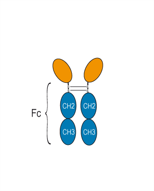 insulin efsitora alfa-药品详情-NextPharma®数据库-ByDrug-医药魔方数据库