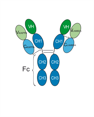 rilvegostomig-drug information-NextBiopharm™-ByDrug-Pharmcube Database