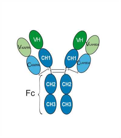 sabestomig-药品详情-NextPharma®数据库-ByDrug-医药魔方数据库