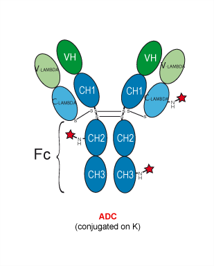 trastuzumab imbotolimod-drug information-NextBiopharm™-ByDrug-Pharmcube ...