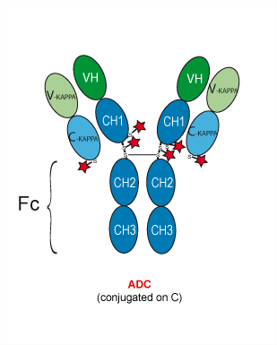 瑞康曲妥珠单抗trastuzumab rezetecan-药品详情-NextPharma®数据库-ByDrug-医药魔方数据库
