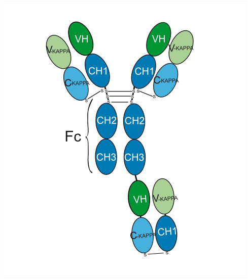曲替奈单抗trontinemab-药品详情-NextPharma®数据库-ByDrug-医药魔方数据库
