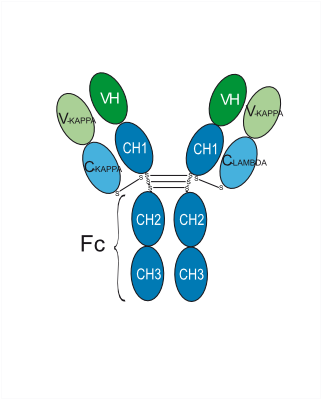 volrustomig-药品详情-NextPharma®数据库-ByDrug-医药魔方数据库