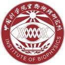 OCTA报告解读 | 教你层层分析识病变医药新闻-ByDrug-一站式医药资源共享中心-医药魔方